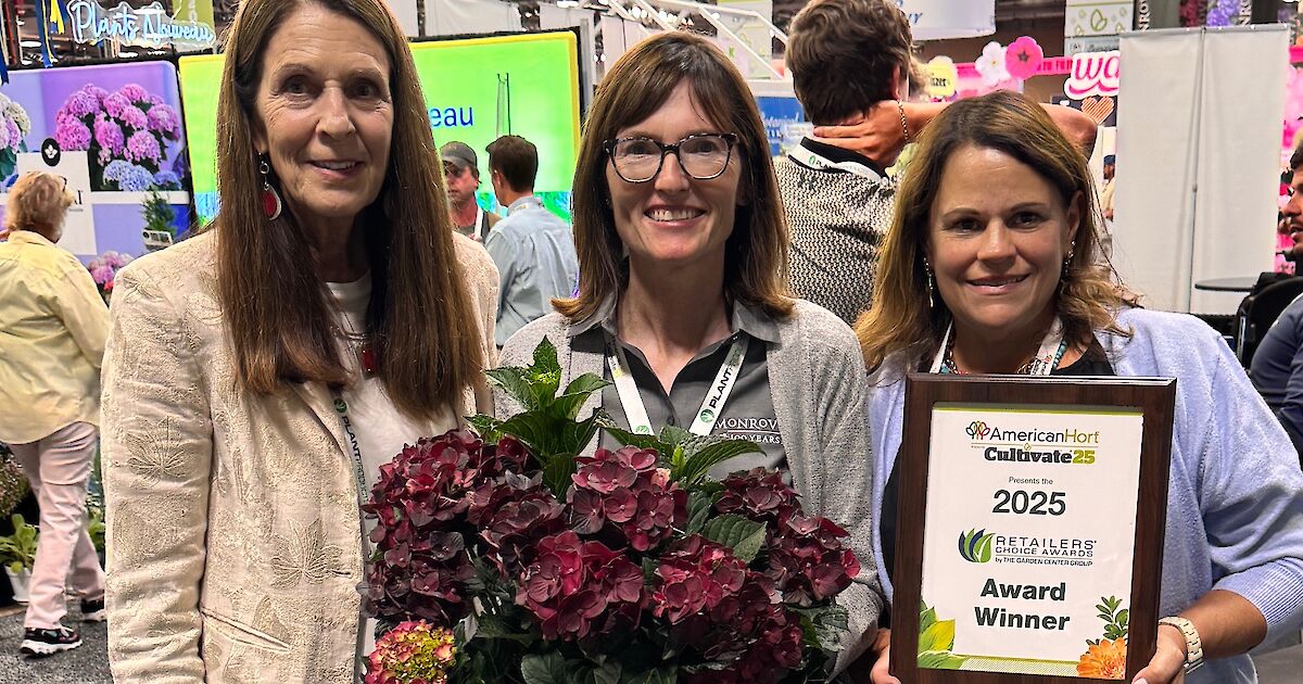 Centennial Ruby™ Hydrangea wins Retailers’ Choice Award | HOKO Breeding